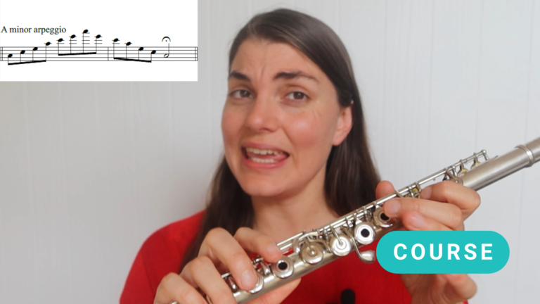 The Flute Scale Course - Part 1 - The Flute Practice