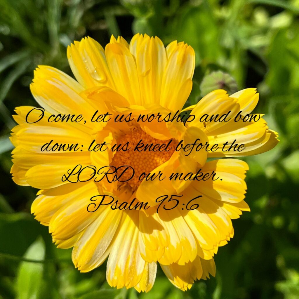 Flute Practice Journal & Practice Plan - The Flute Practice