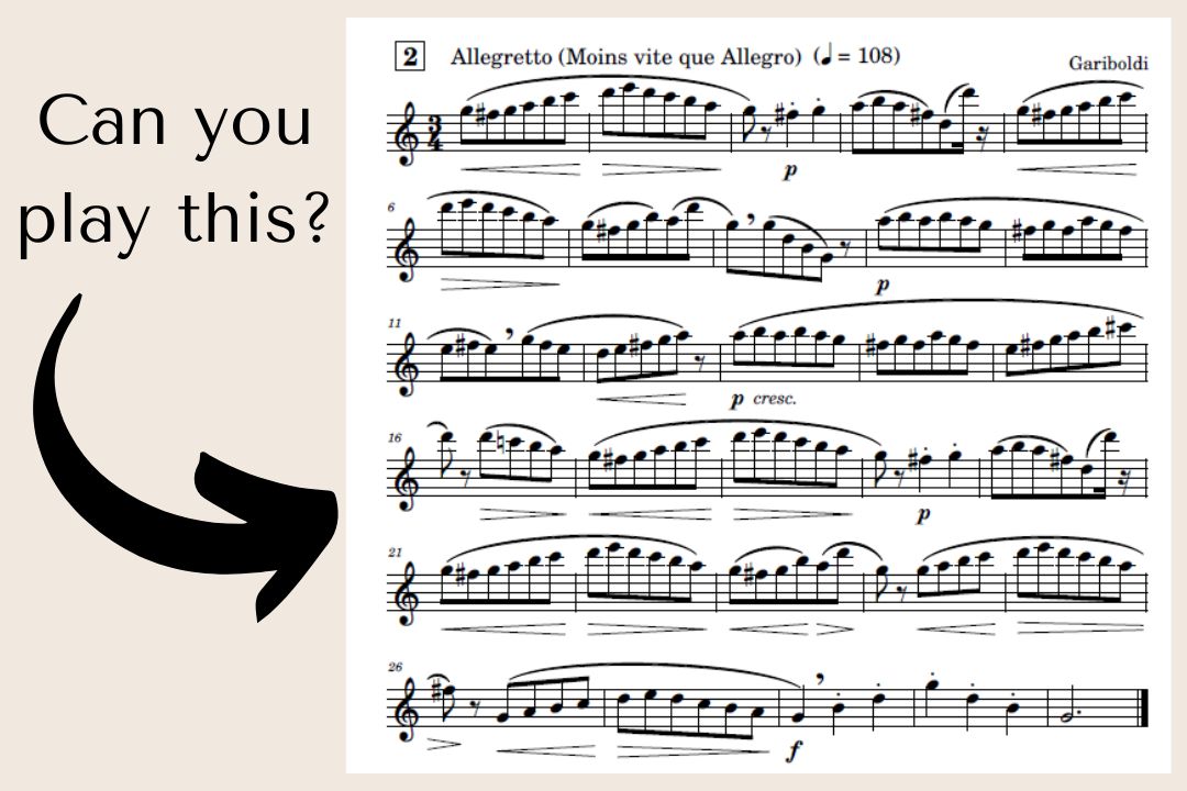 Let’s Practice, Together! (Early Intermediate) waitlist - The Flute ...