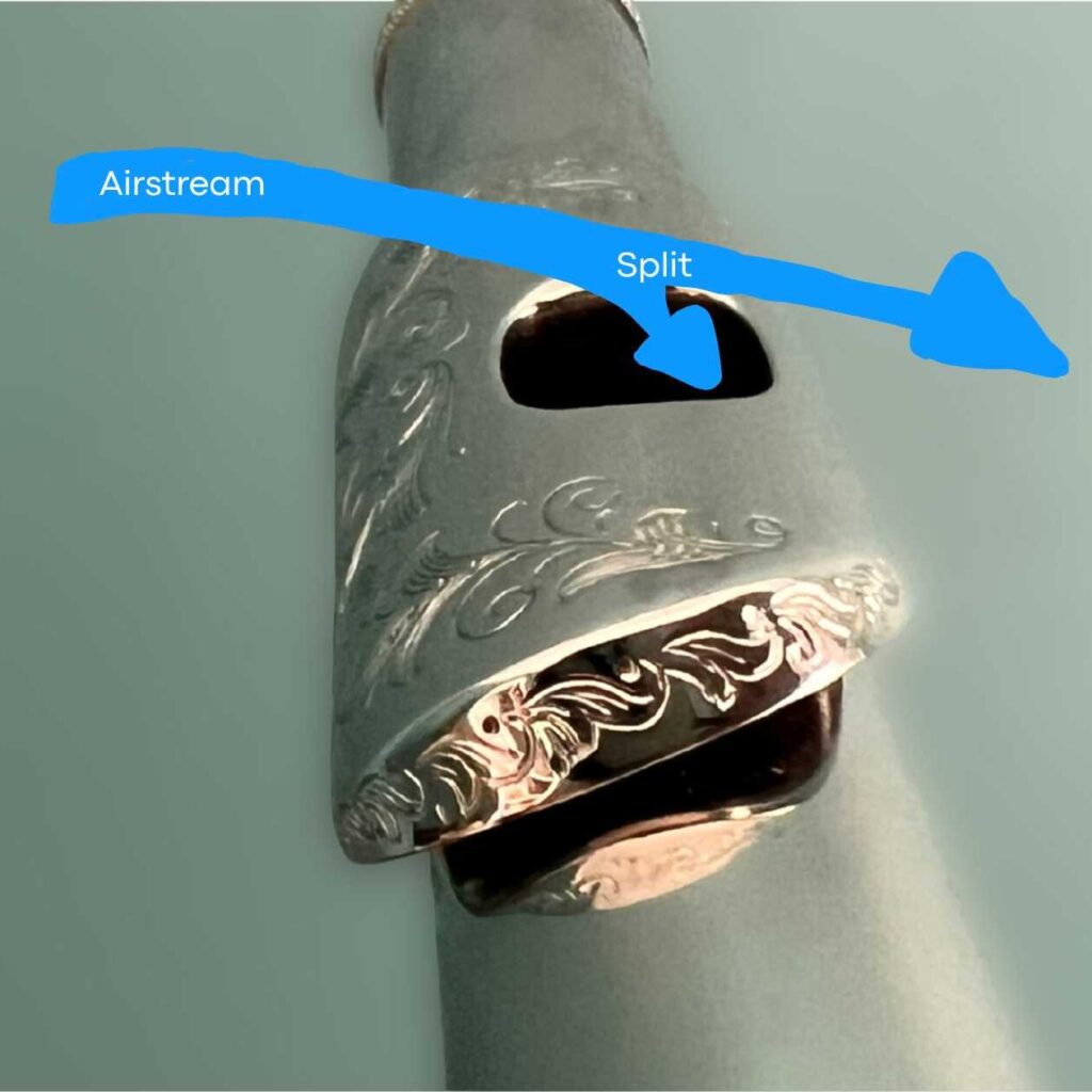 The ultimate guide to beginning the flute as an adult - The Flute Practice