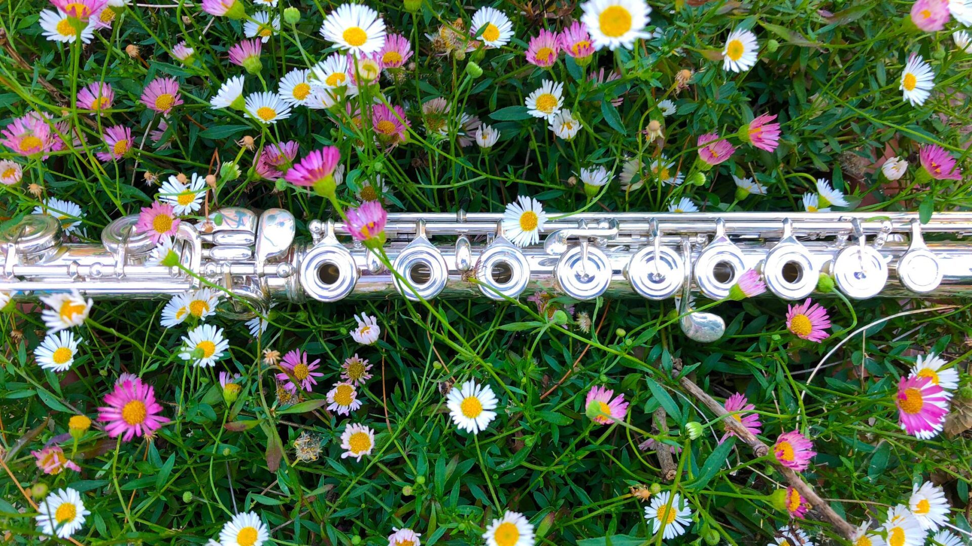 5 powerful reasons to learn the flute as an adult - The Flute Practice